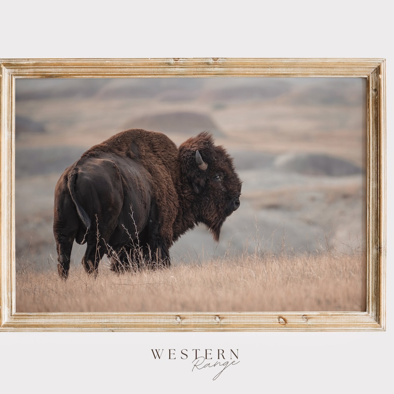 Bison - Etsy