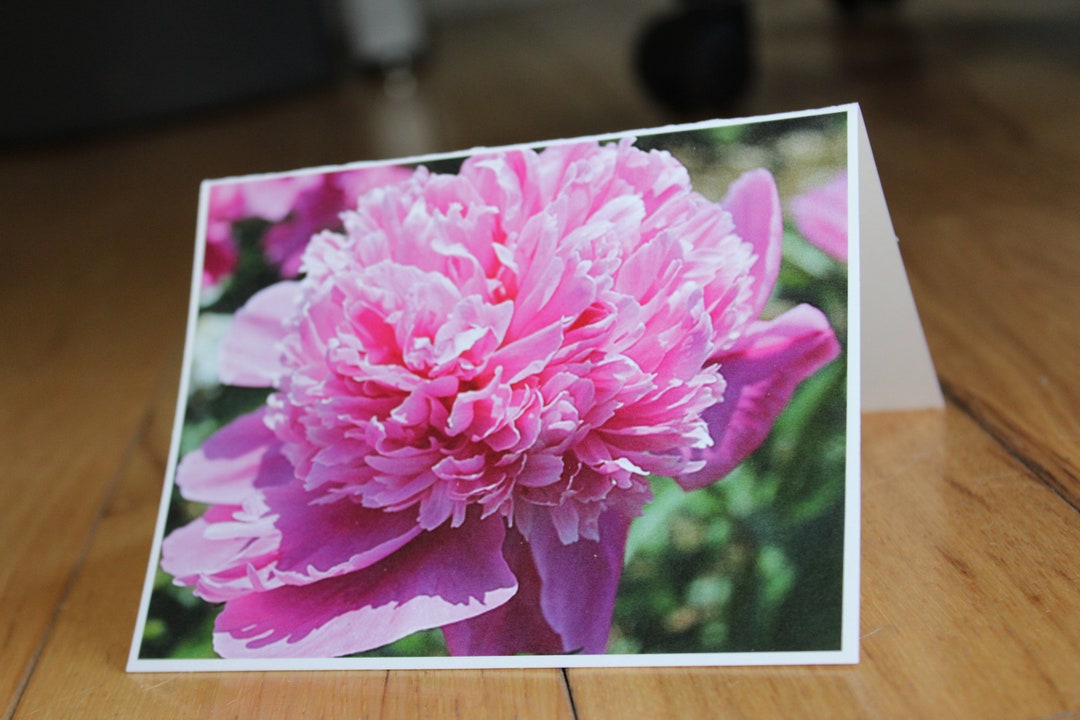 Pink Peony Flower Photograph Blank Note Cards, box of 10 - Etsy