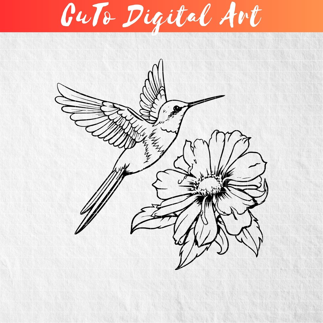 Tropical Hummingbird SVG and PNG Digital Download, Bird Clipart for T ...