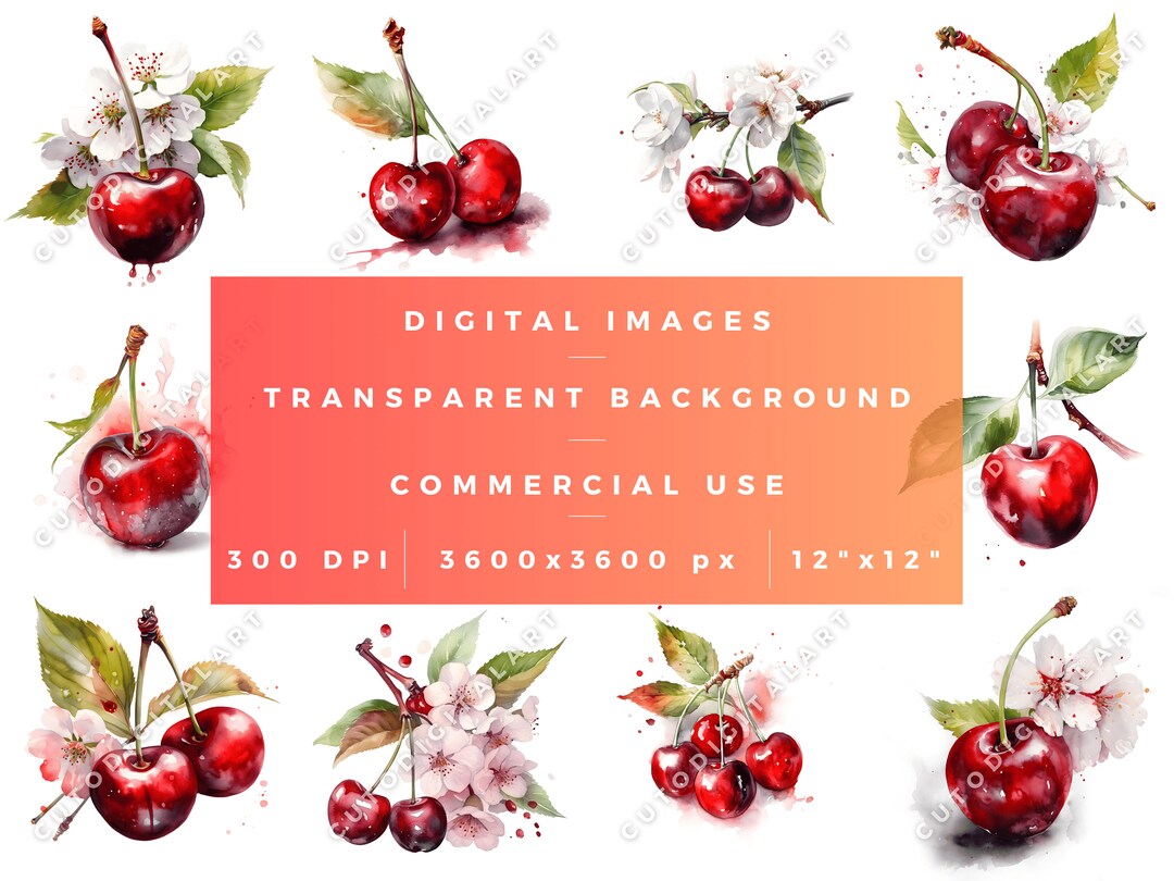 Watercolor Cherry Clipart Bundle, Transparent Cherries Illustrations ...