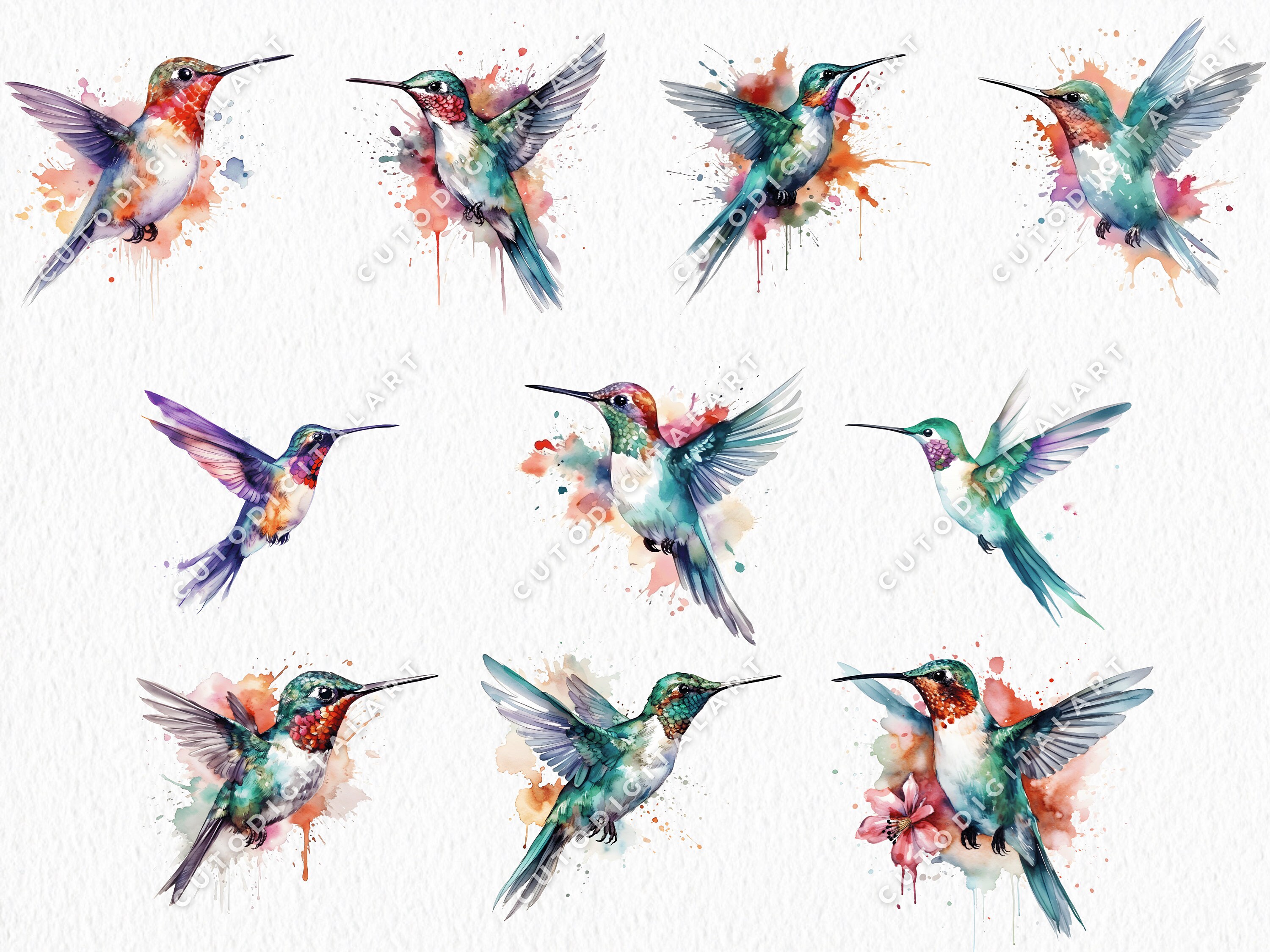 Watercolor Hummingbird Clipart Bundle Transparent Hummingbird - Etsy