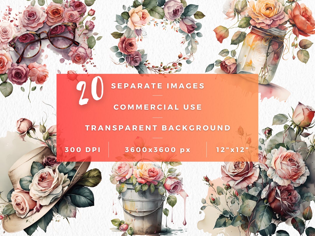 Watercolor Blush Pink Roses Clipart Bundle, Commercial Use, Transparent ...
