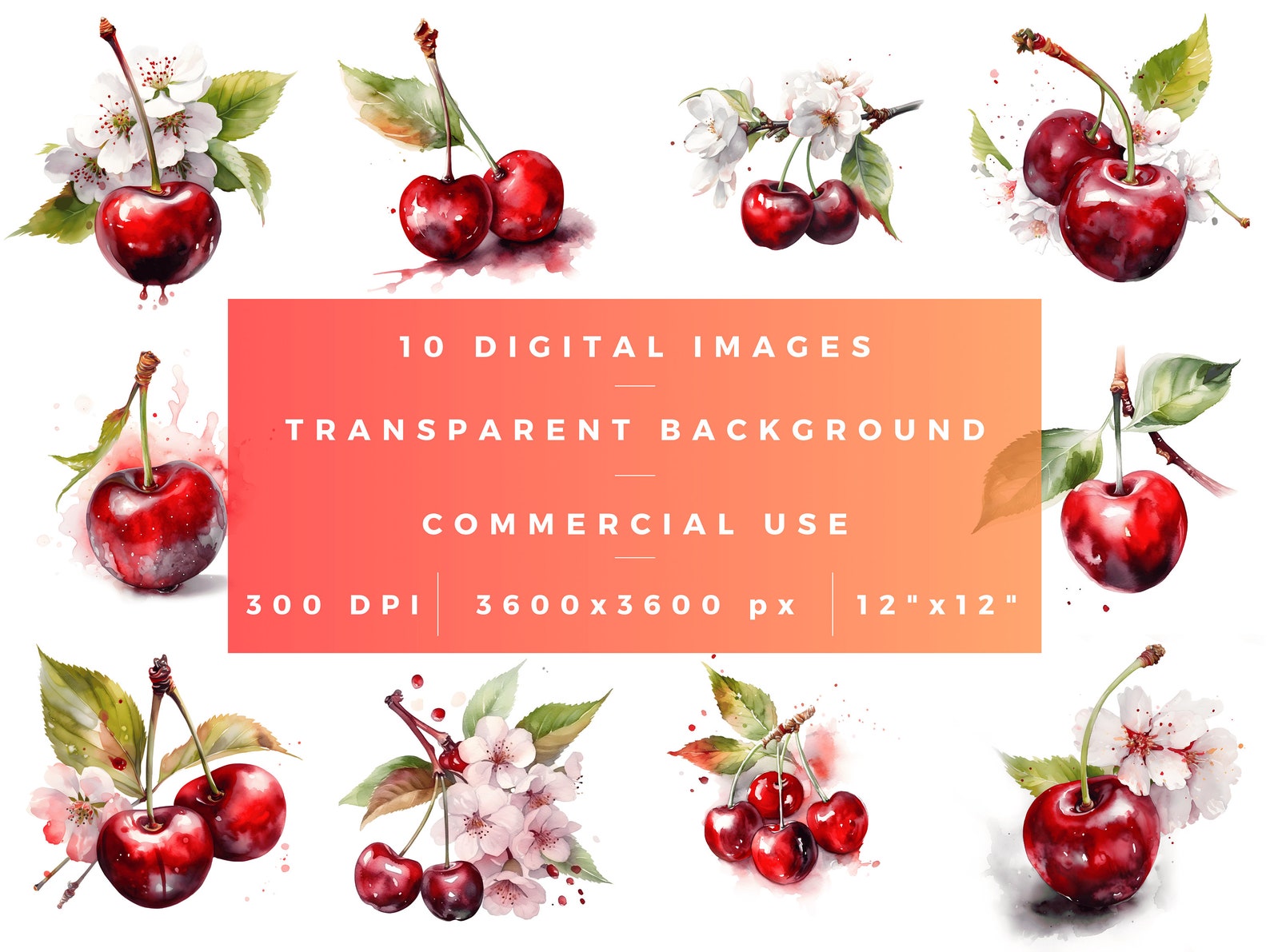 Watercolor Cherry Clipart Bundle Transparent Cherries - Etsy