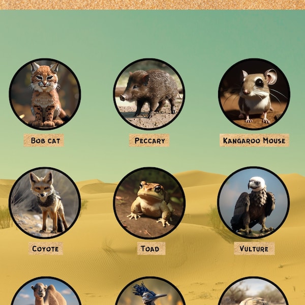 Cute Desert Animal Stickers - Etsy