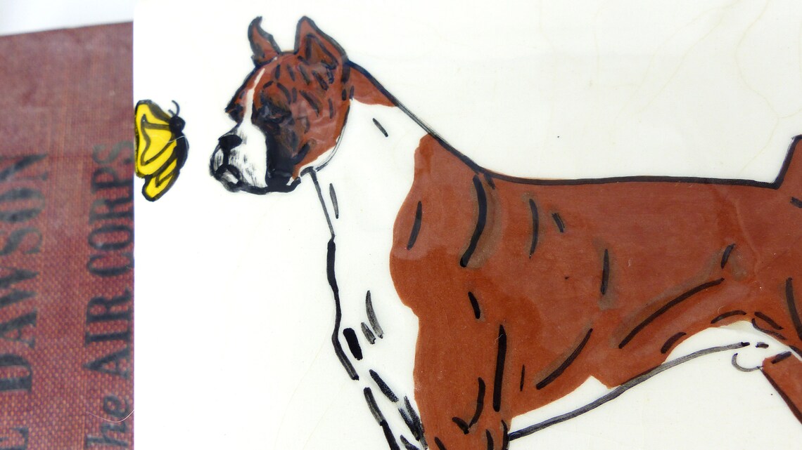 Rare Boxer Dog Breed Glazed Ceramic Trinket Jewelry Box With - Etsy