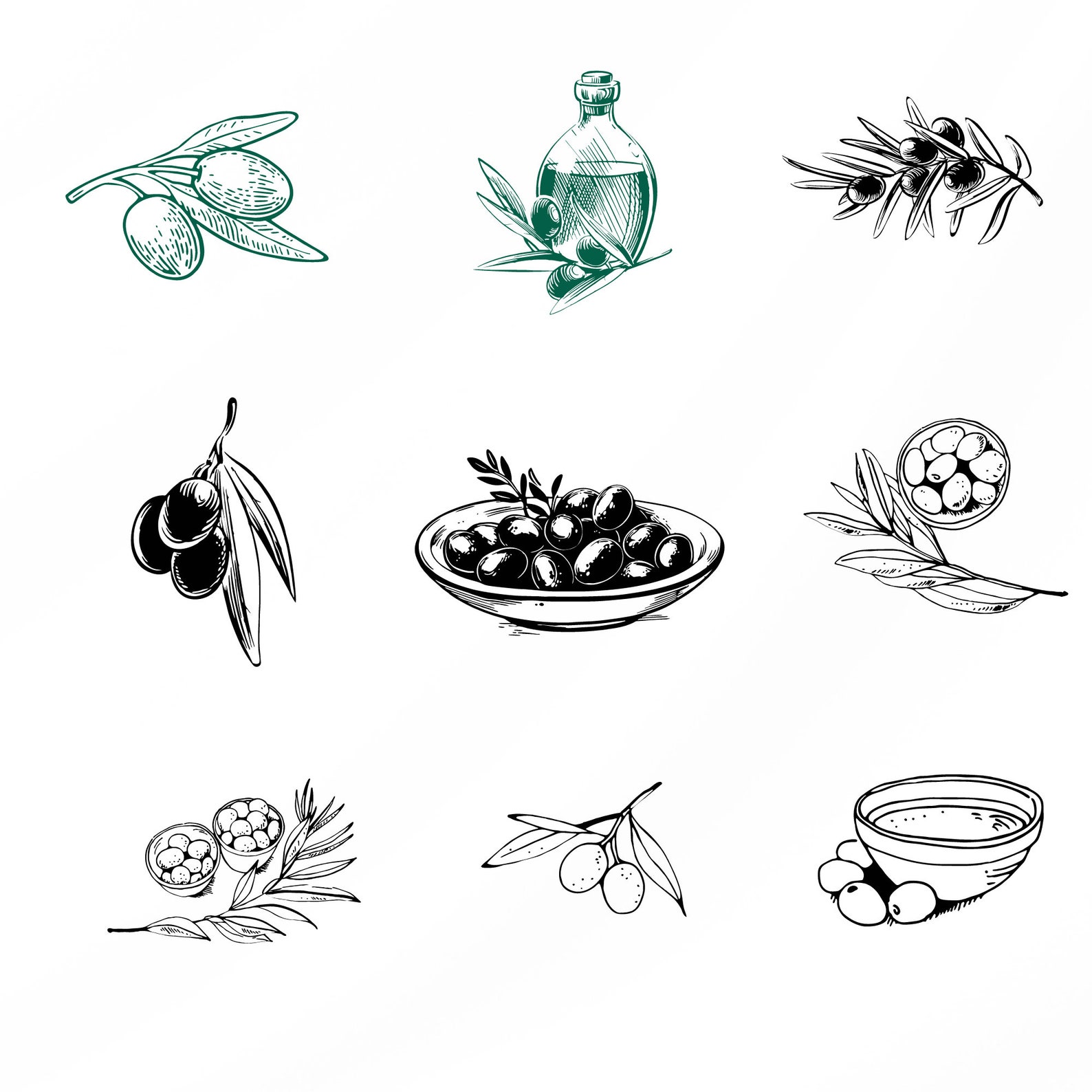 Olive Branch Svg Bundle, Olive Branch Clipart for Cricut, Olive Leaf ...