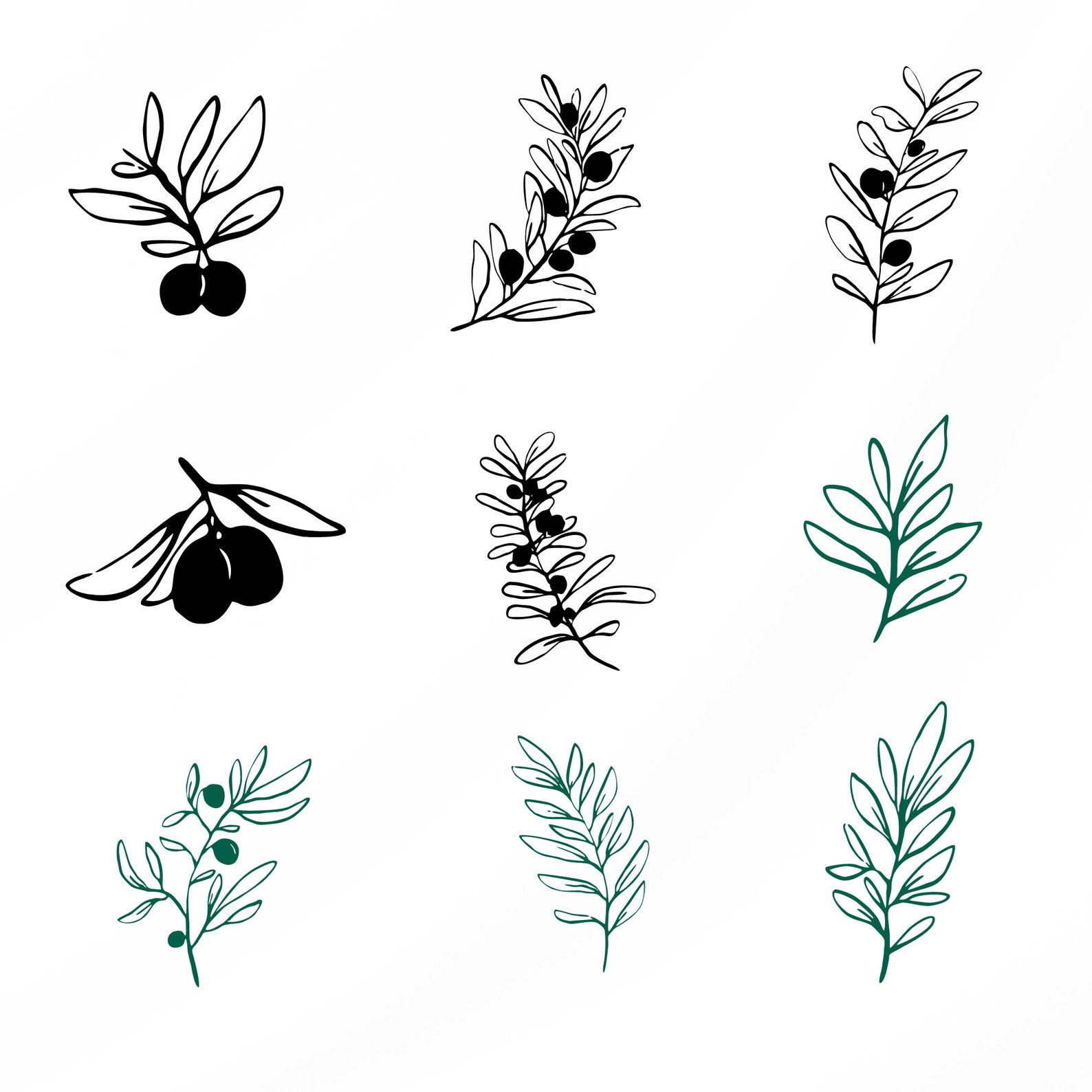 Olive Branch Svg Bundle, Olive Branch Clipart for Cricut, Olive Leaf ...