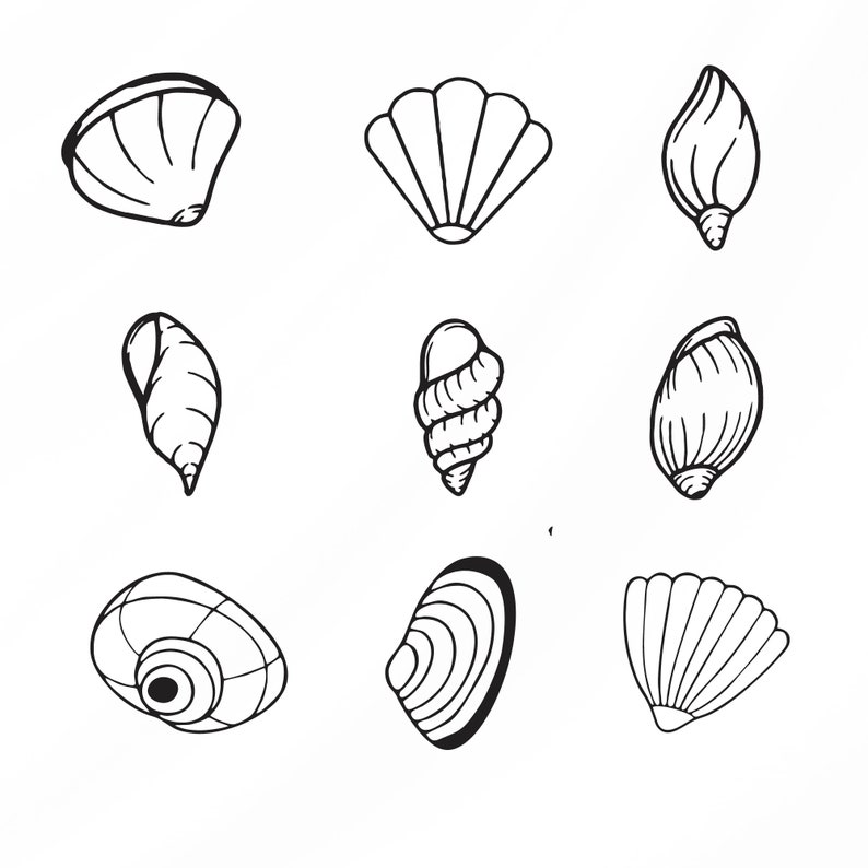 Seashell Svg Bundle, Seashell Clipart for Cricut, Sea World Vector ...