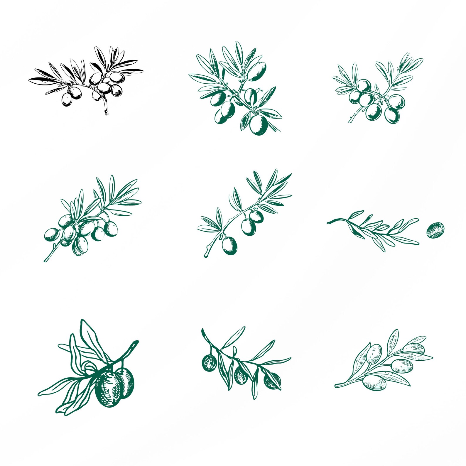 Olive Branch Svg Bundle, Olive Branch Clipart for Cricut, Olive Leaf ...