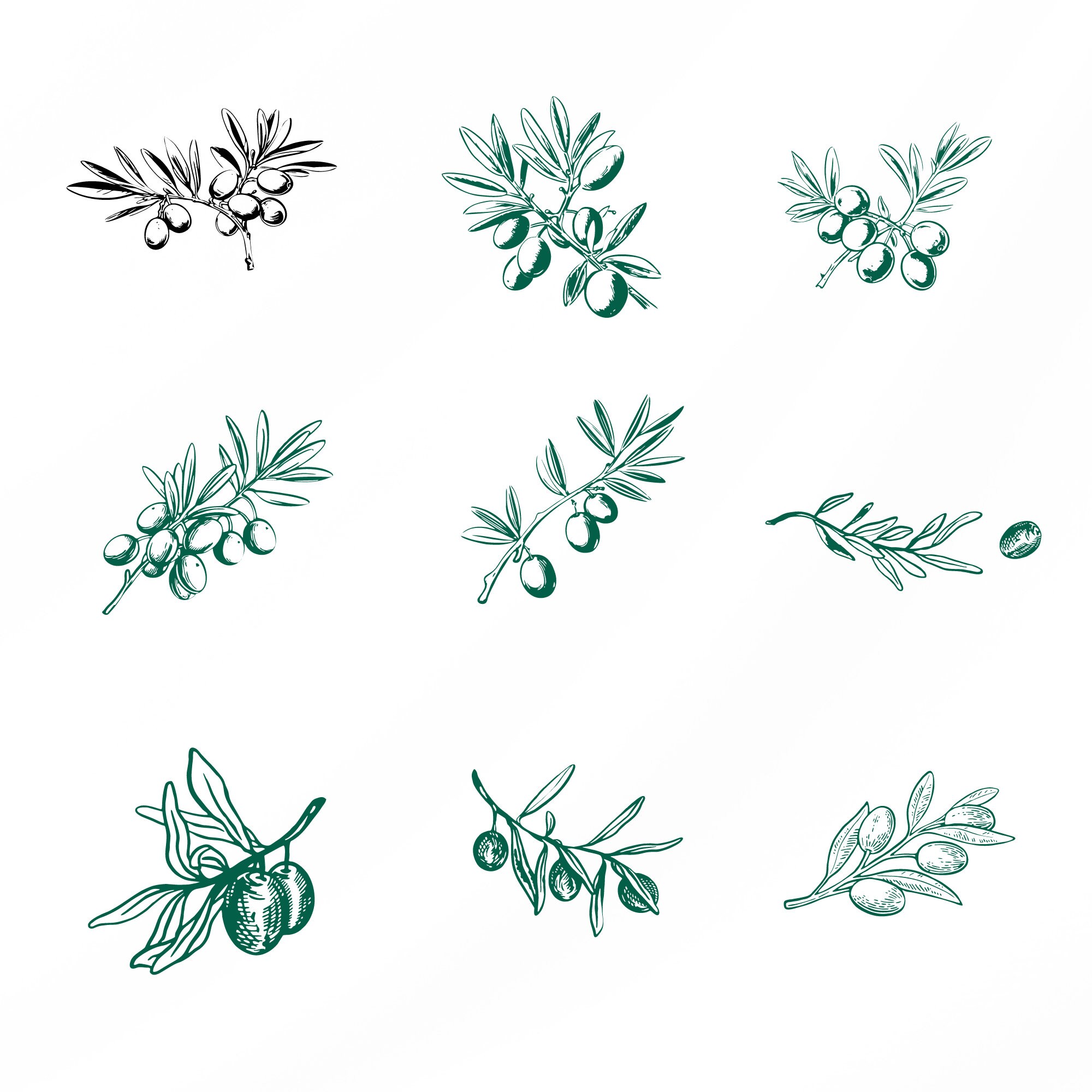 Olive Branch Svg Bundle, Olive Branch Clipart for Cricut, Olive Leaf ...