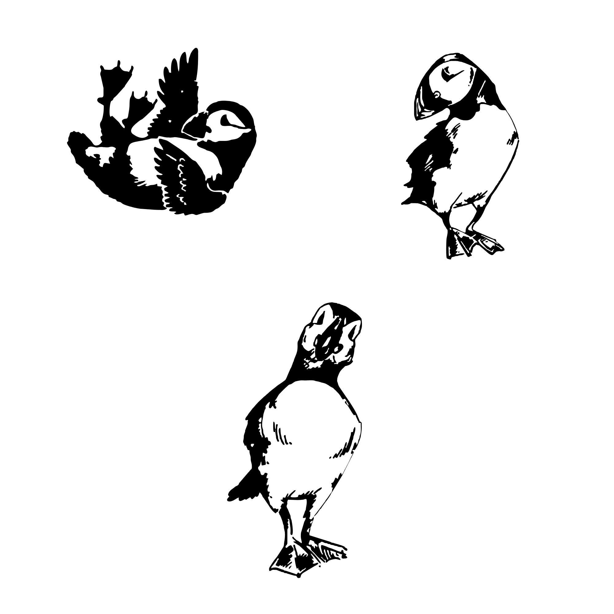 Puffin Svg Bundle, Atlantic Puffin Clipart, Puffling Water Bird Vector ...