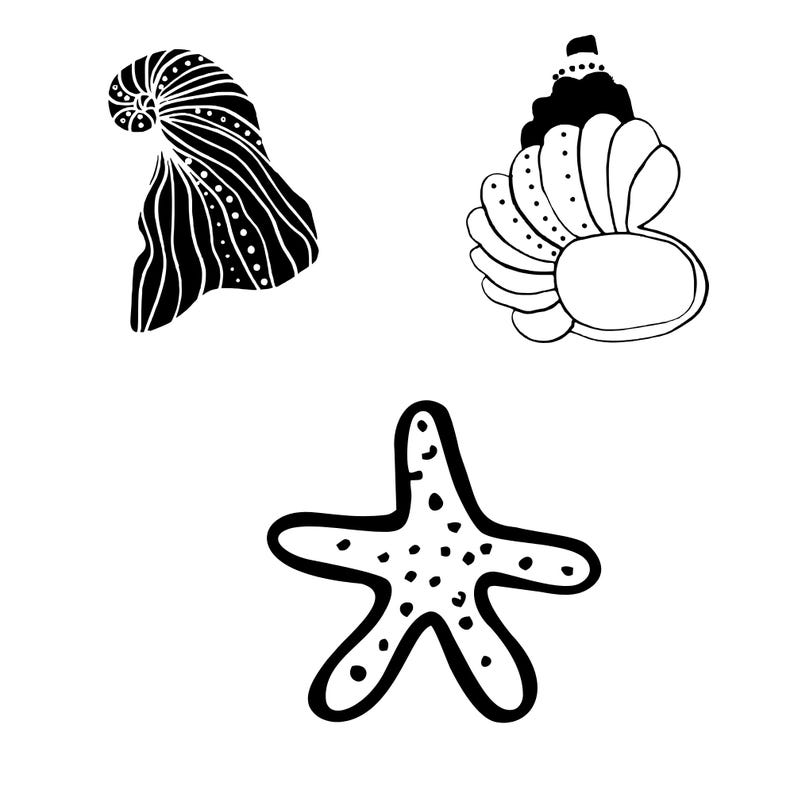 Seashell Svg Bundle, Seashell Clipart, Sea World Vector, Pastel ...