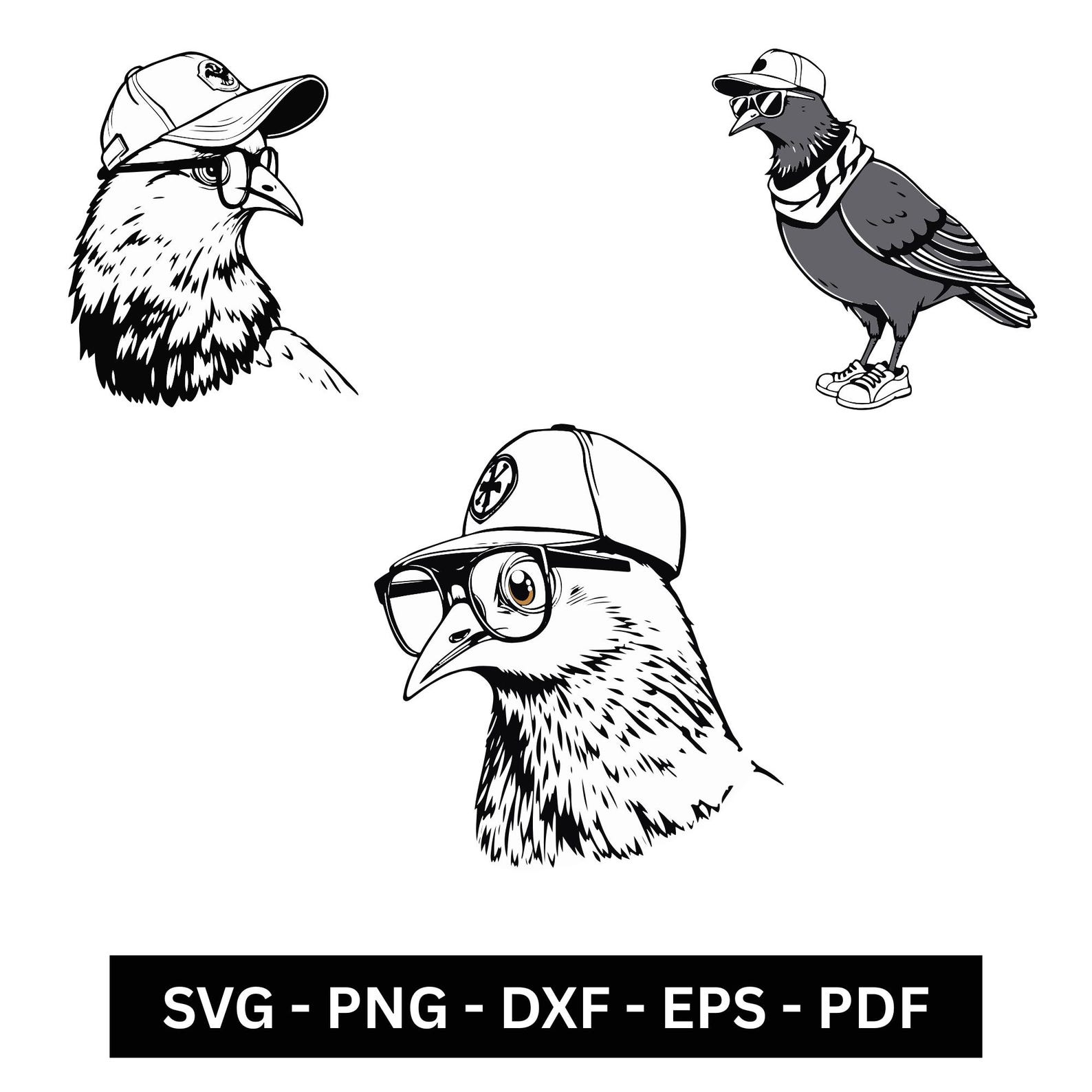 Pigeon SVG Bundle, Pigeon Clipart, Pigeon Cut Files for Cricut, PNG and ...