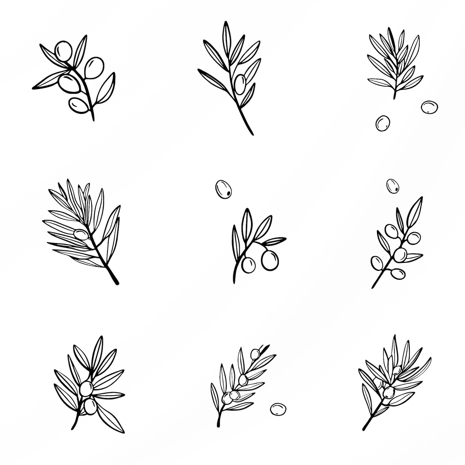 Olive Branch Svg Bundle, Olive Branch Clipart for Cricut, Olive Leaf ...