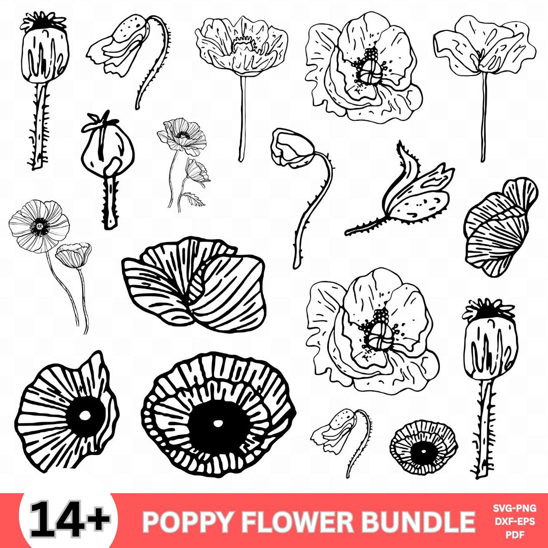 Poppy Flower Svg Bundle, Floral Line Art Cut Files, Cricut Dxf Png Pdf ...