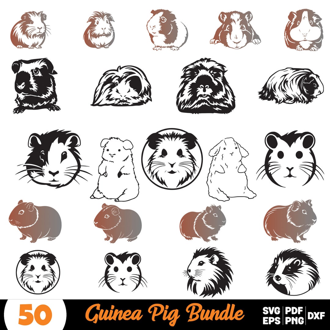 Guinea Pig Svg Bundle, Pig Clipart for Cricut, Cute Pig Silhouette ...