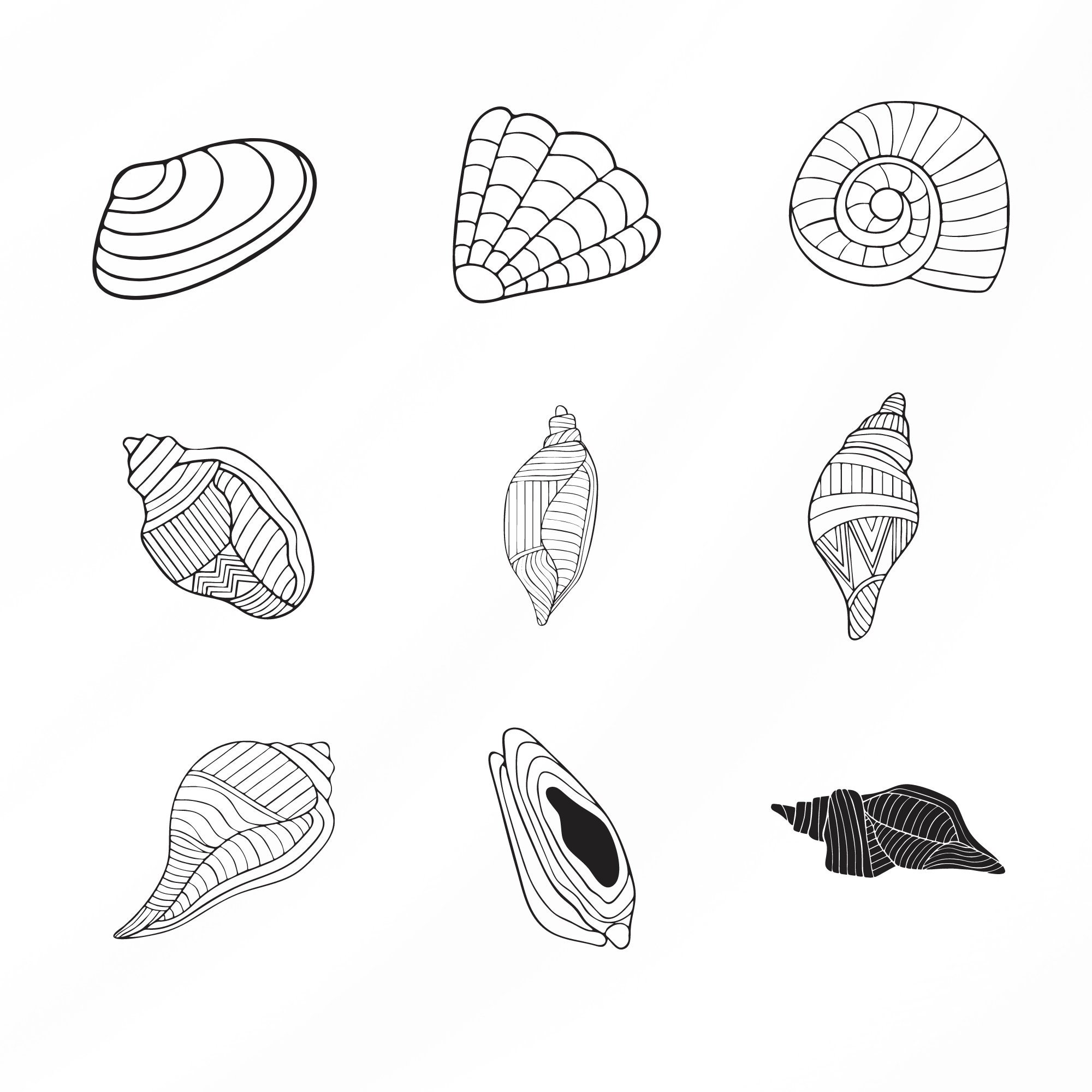 Seashell Svg Bundle, Seashell Clipart for Cricut, Sea World Vector ...