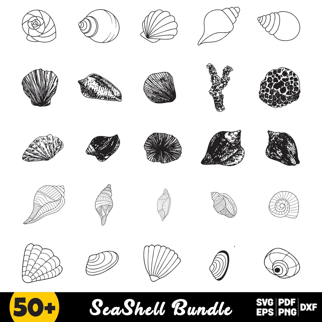 Seashell Svg Bundle, Seashell Clipart for Cricut, Sea World Vector ...