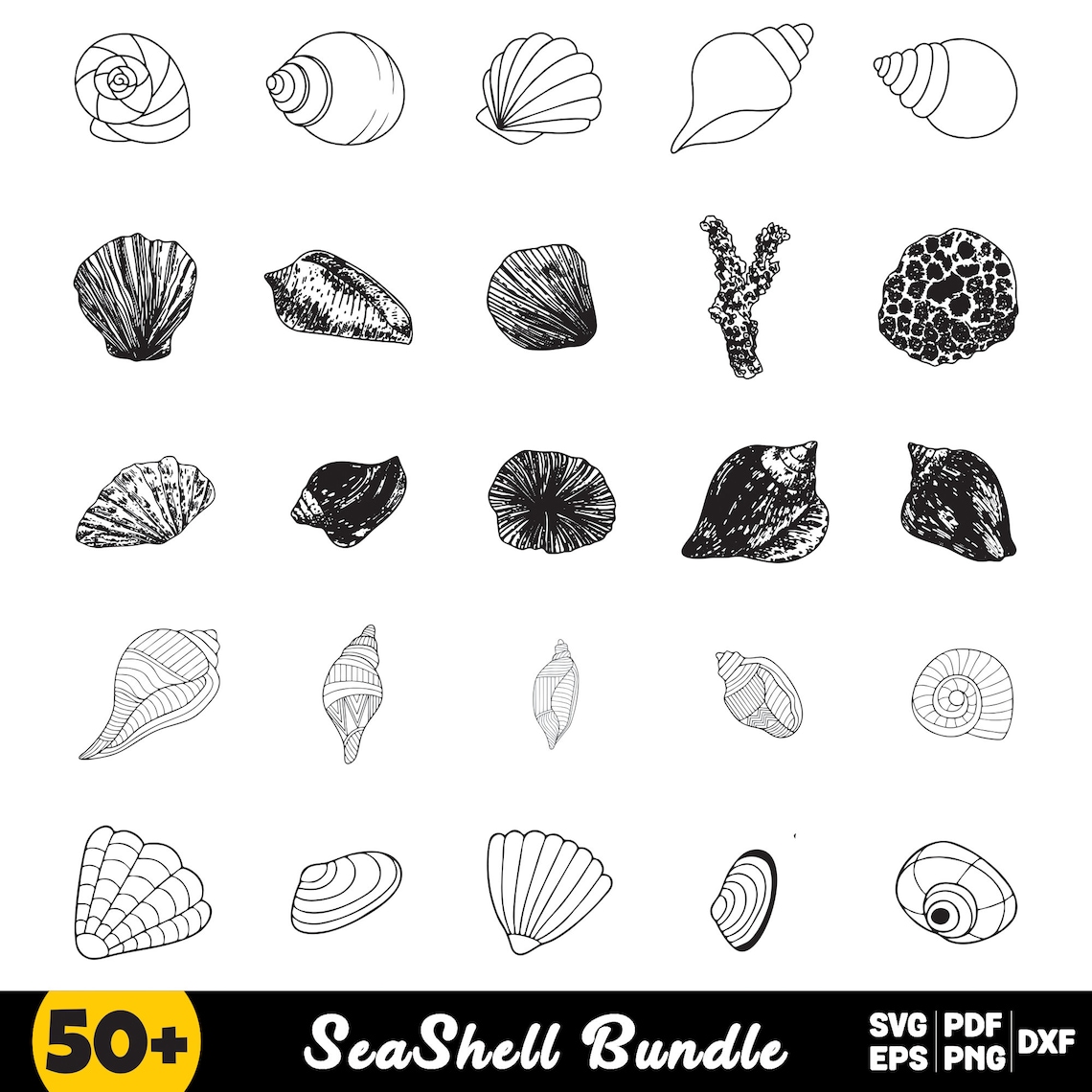 Seashell Svg Bundle, Seashell Clipart for Cricut, Sea World Vector ...