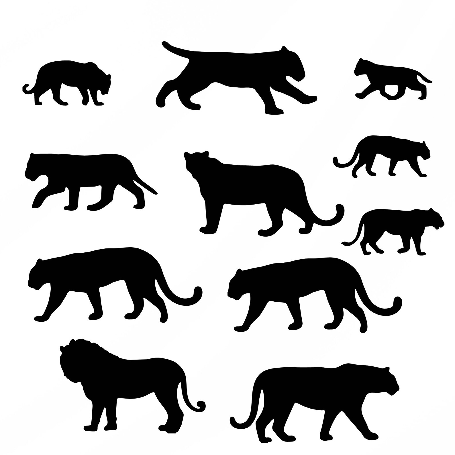 Jaguar Svg Bundle, Jaguar Clipart for Cricut, Wild Animal Silhouette ...