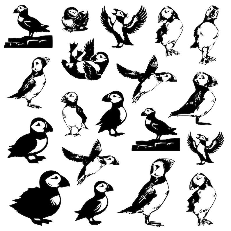 Puffin Svg Bundle, Atlantic Puffin Clipart, Puffling Water Bird Vector ...