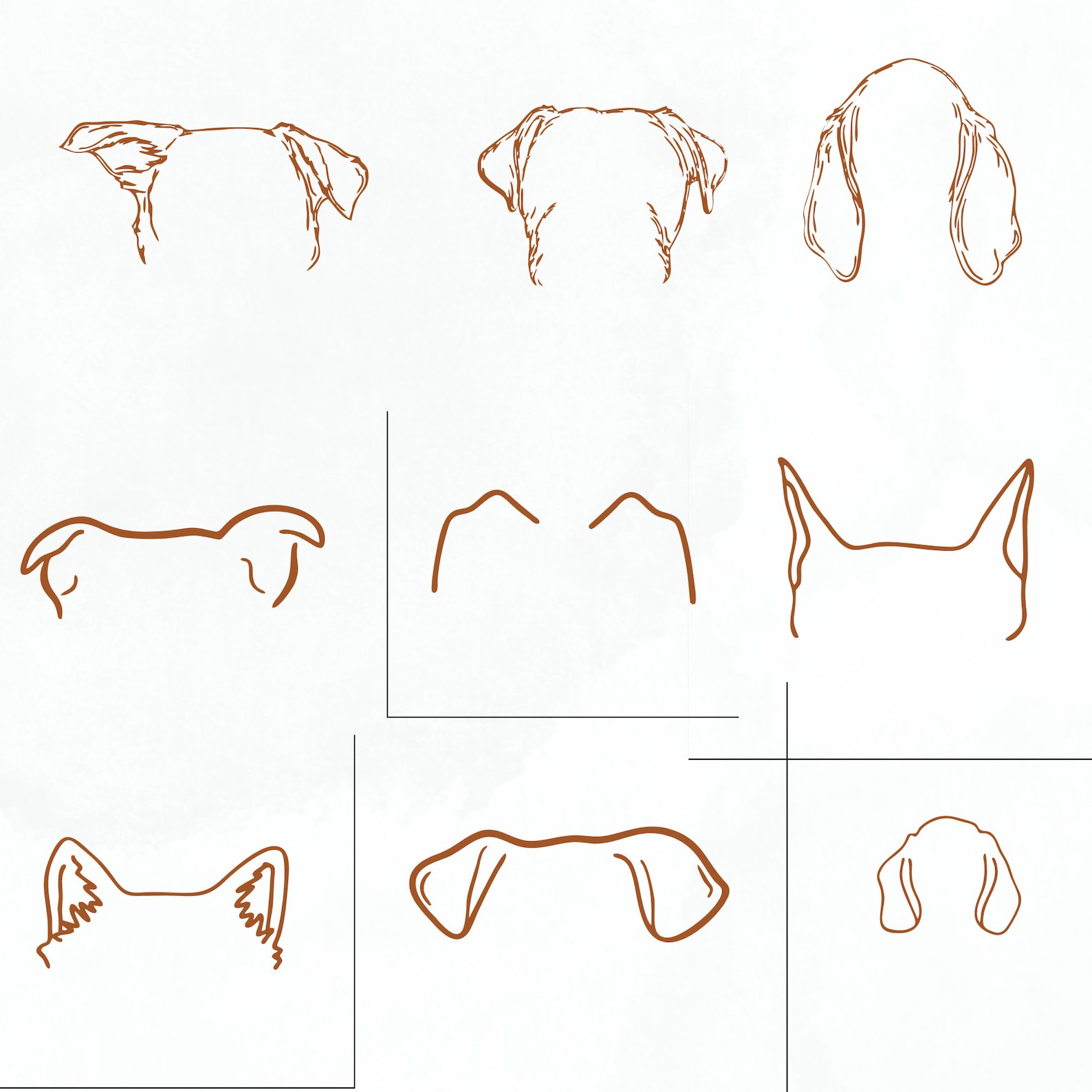 Dog Breed Ears Svg Bundle, Dog Ear Outline Clipart for Cricut, Dog Ear ...