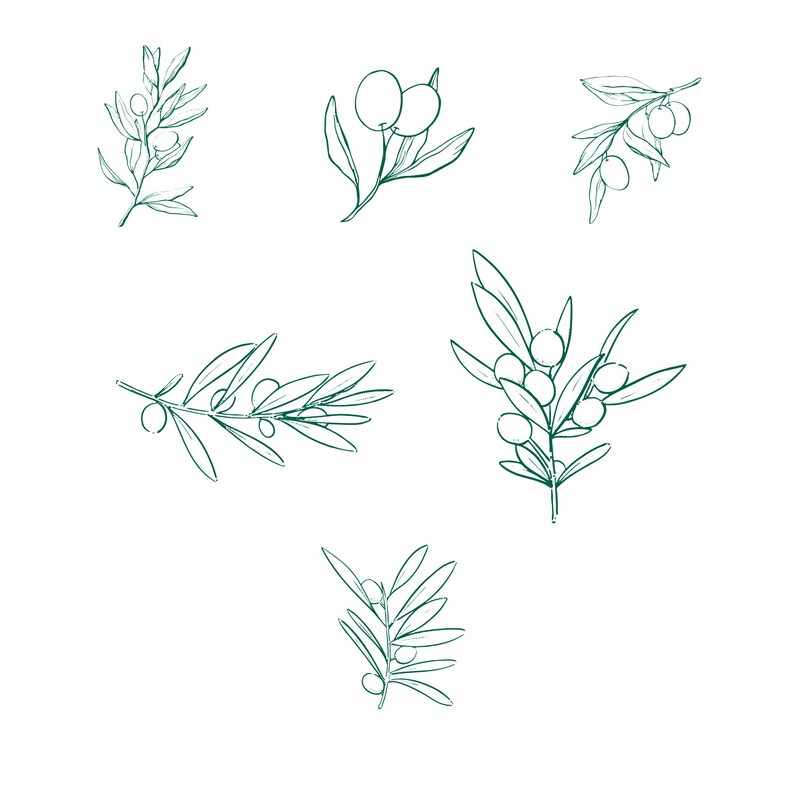 Olive Branch Svg Bundle, Olive Branch Clipart for Cricut, Olive Leaf ...