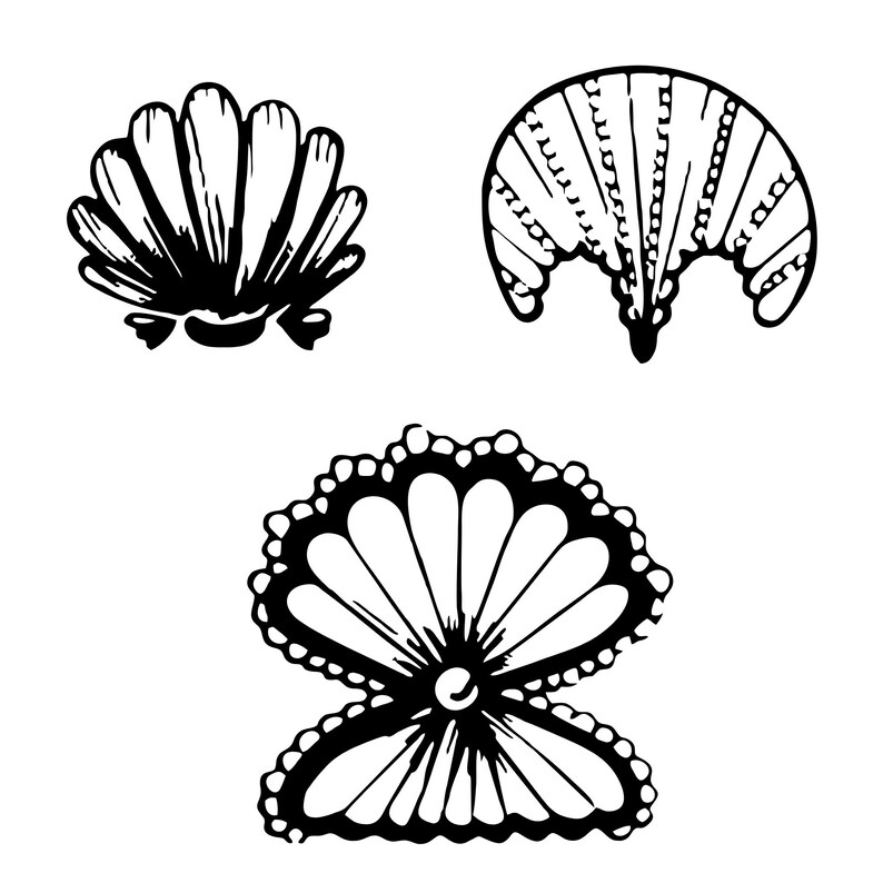 Seashell Svg Bundle, Seashell Clipart, Sea World Vector, Pastel ...