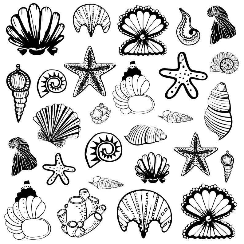 Seashell Svg Bundle, Seashell Clipart, Sea World Vector, Pastel ...