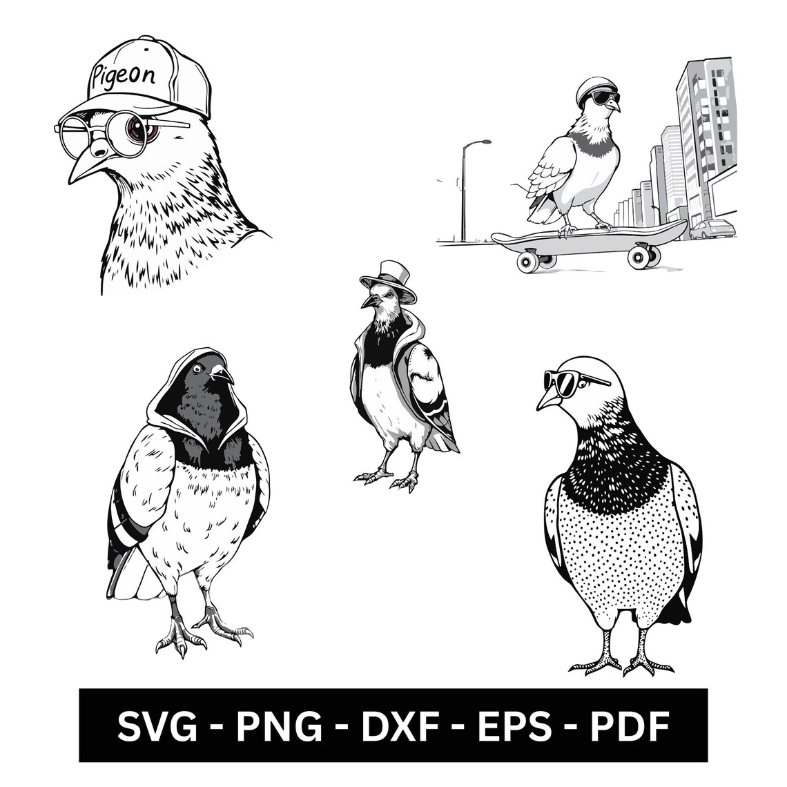 Pigeon SVG Bundle, Pigeon Clipart, Pigeon Cut Files for Cricut, PNG and ...