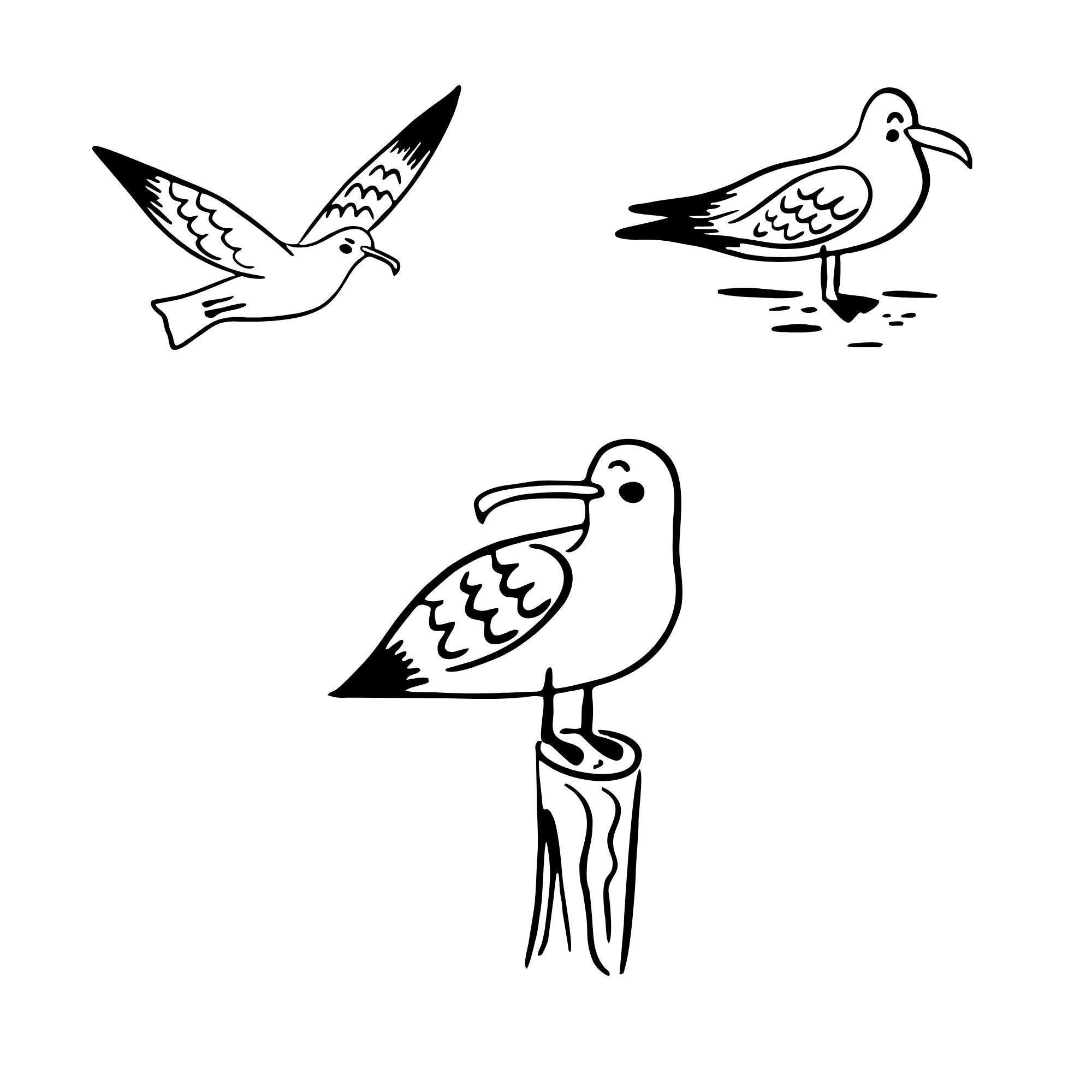 Seagull Svg Bundle, Seagull Clipart, Seagull Head Vector, Coastal Decal ...