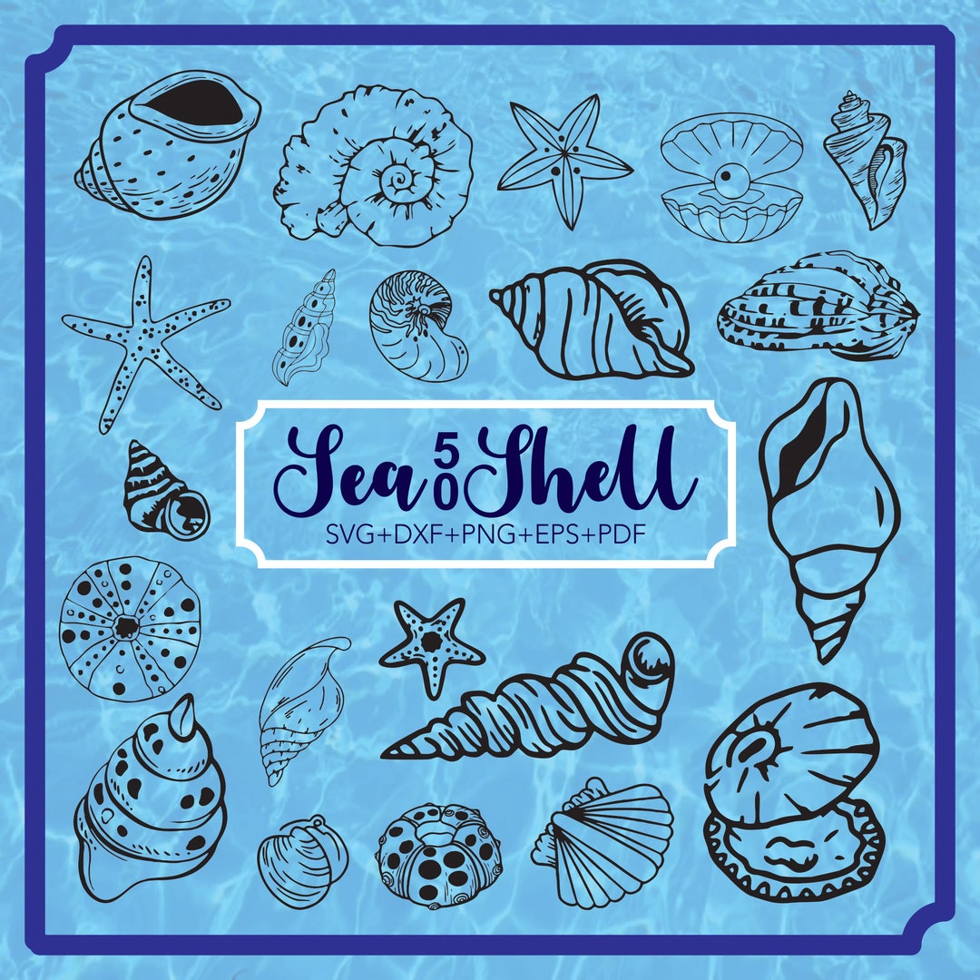 Seashell Svg Bundle, Seashell Clipart for Cricut, Seashell Svg ...
