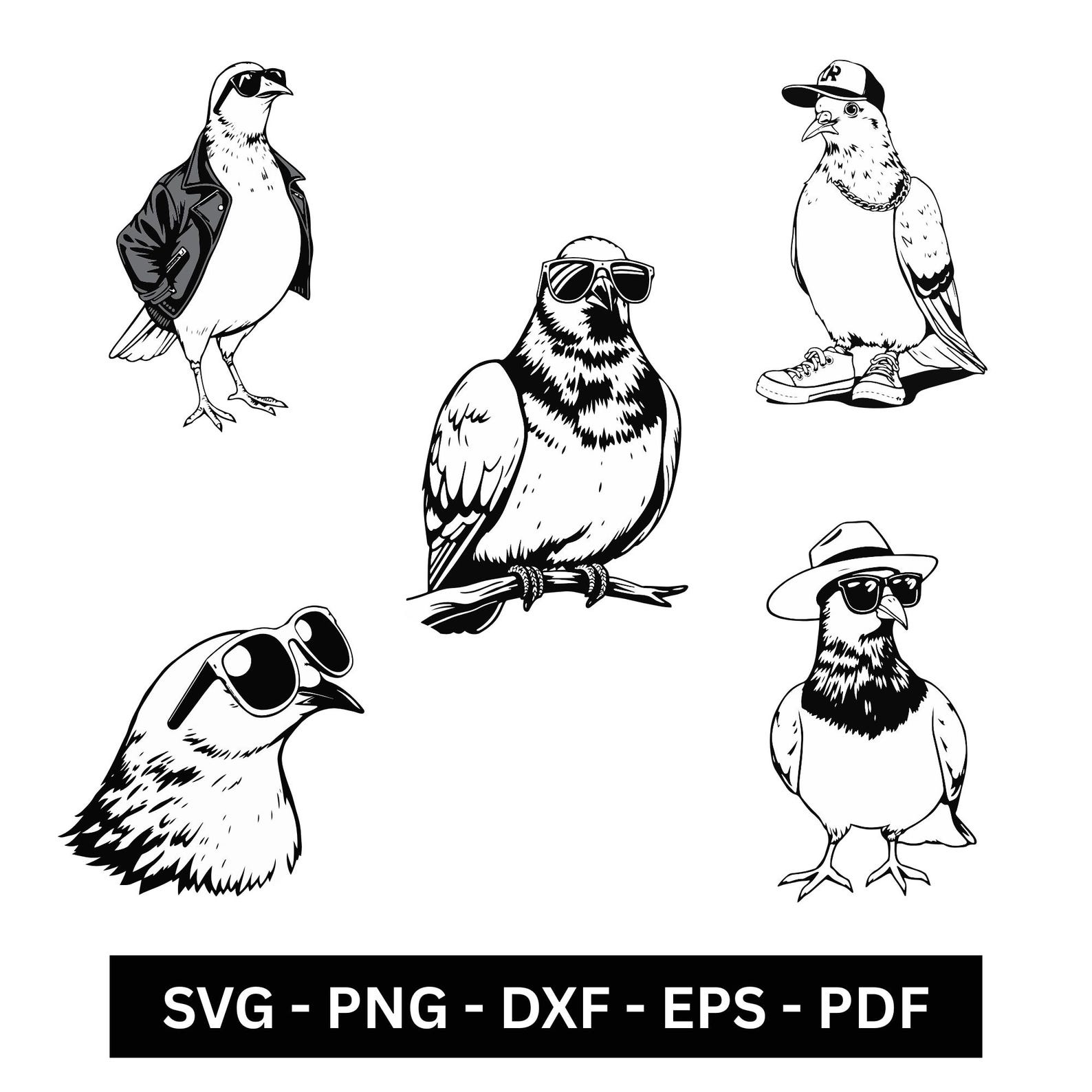 Pigeon SVG Bundle, Pigeon Clipart, Pigeon Cut Files for Cricut, PNG and ...