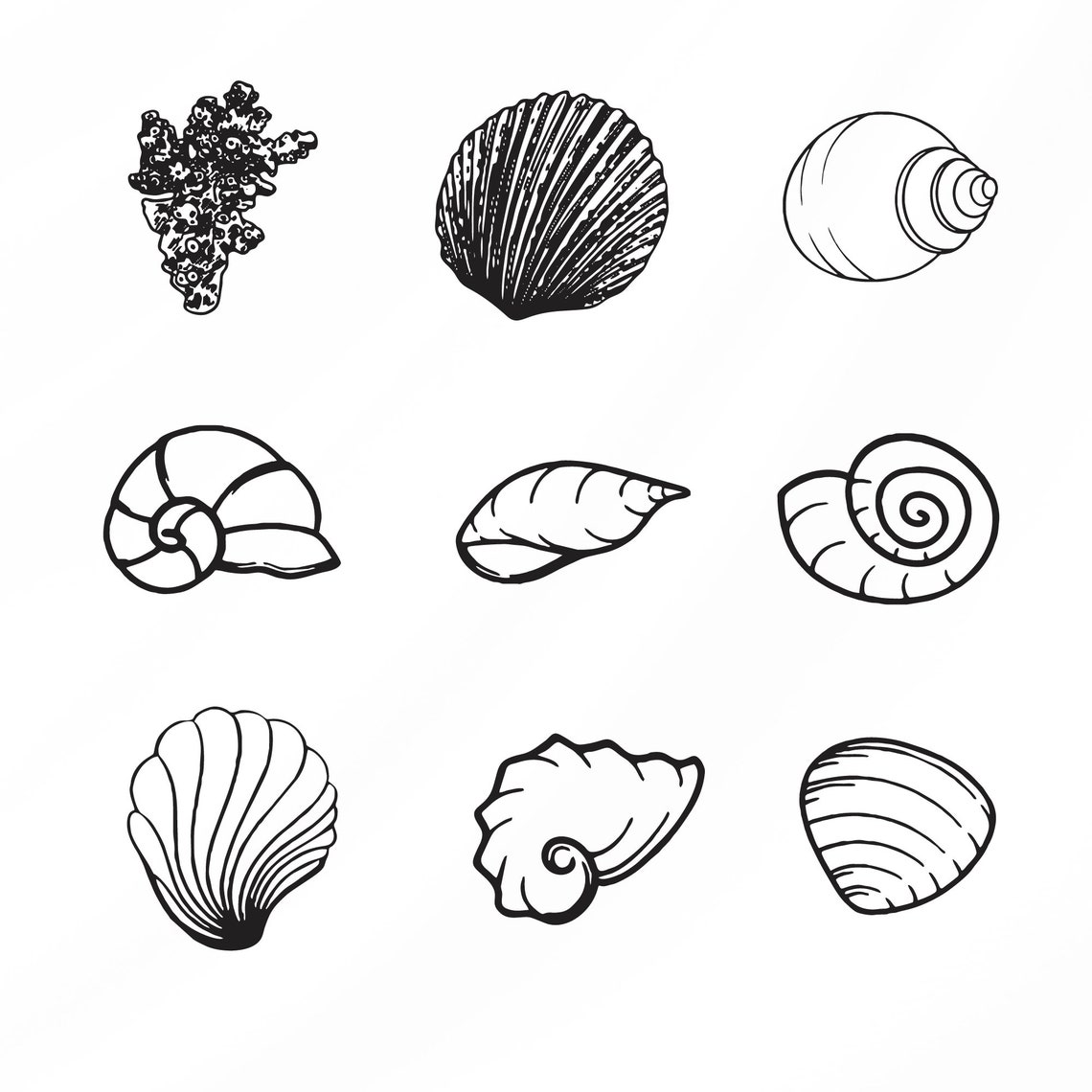 Seashell Svg Bundle, Seashell Clipart for Cricut, Sea World Vector ...