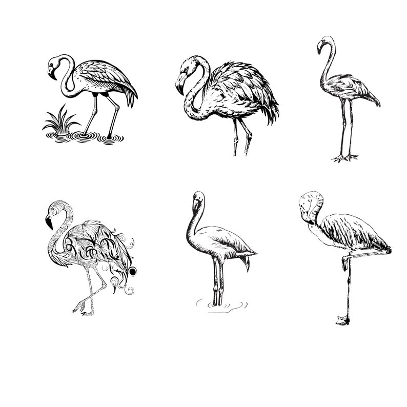 Flamingo Svg Bundle, Flamingo Clipart for Cricut, Cute Flamingo ...