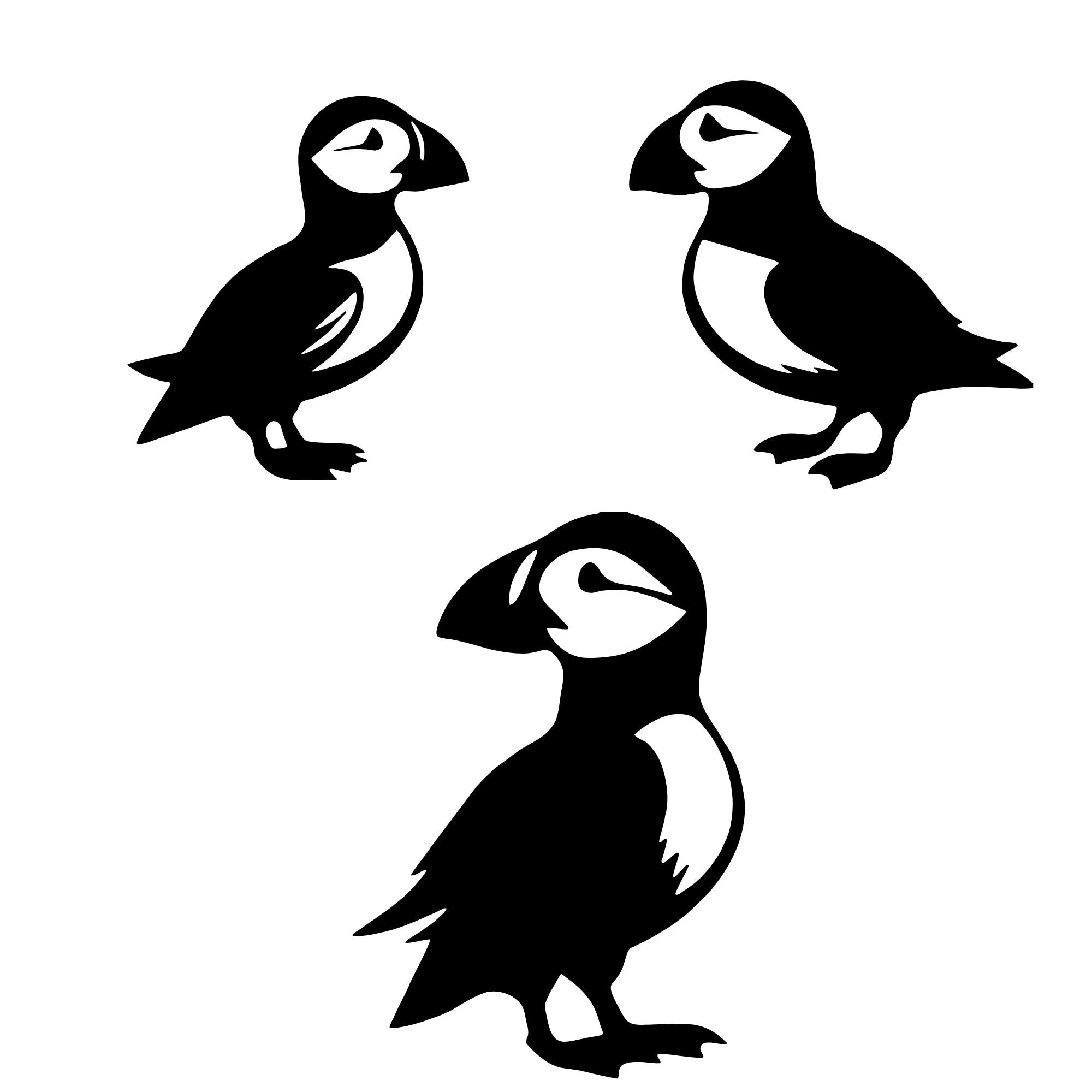 Puffin Svg Bundle, Atlantic Puffin Clipart, Puffling Water Bird Vector ...