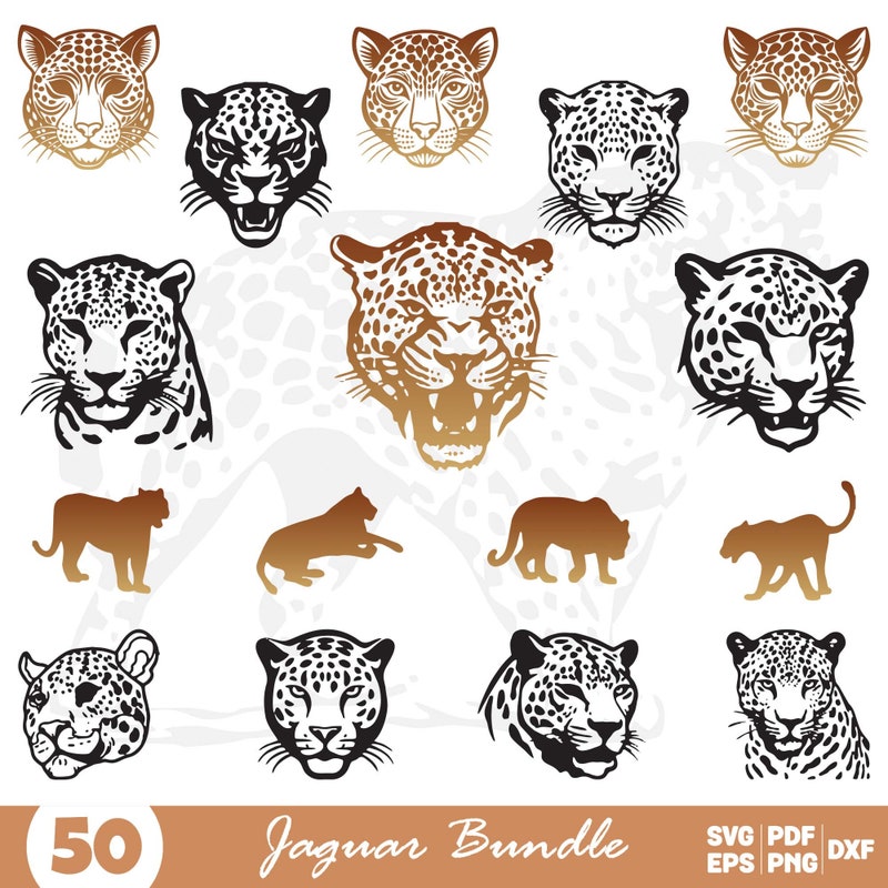 Jaguar Svg - Etsy