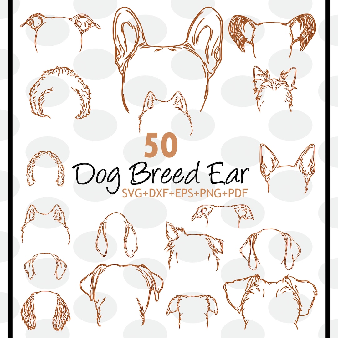 Dog Breed Ears Svg Bundle, Dog Ear Outline Clipart for Cricut, Dog Ear ...