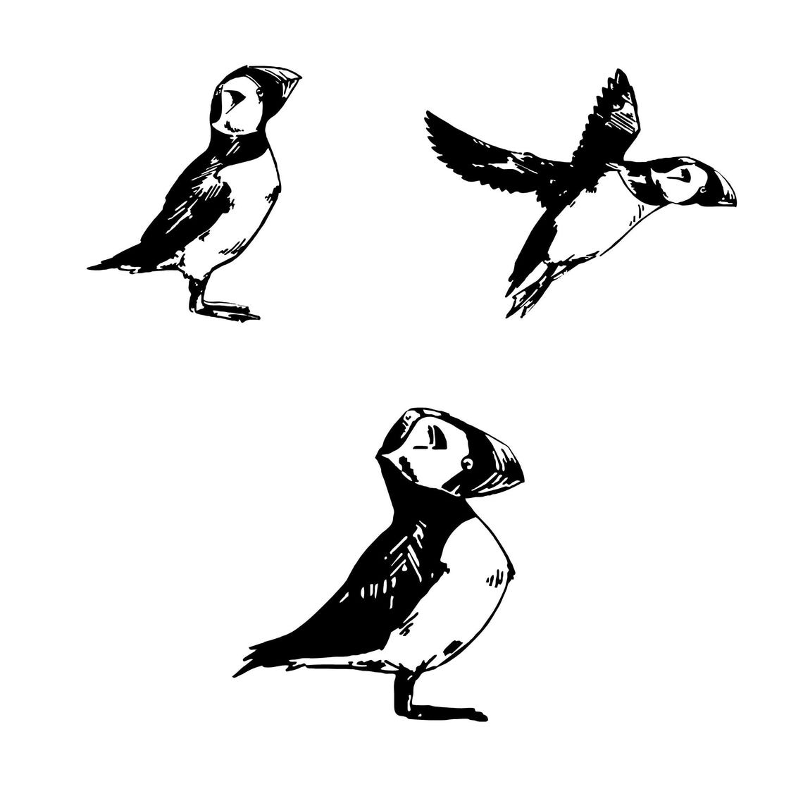 Puffin Svg Bundle, Atlantic Puffin Clipart, Puffling Water Bird Vector ...
