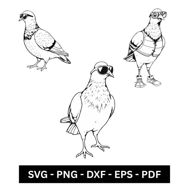 Pigeon SVG Bundle, Pigeon Clipart, Pigeon Cut Files for Cricut, PNG and ...