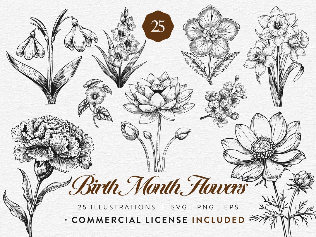 Birth Month Flowers, 25 Hand Drawn Botanical Line Art Illustrations ...