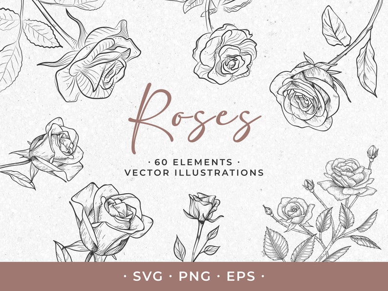 Colección Roses, incluye 60 diseños de rosas y ramas en formato SVG ...