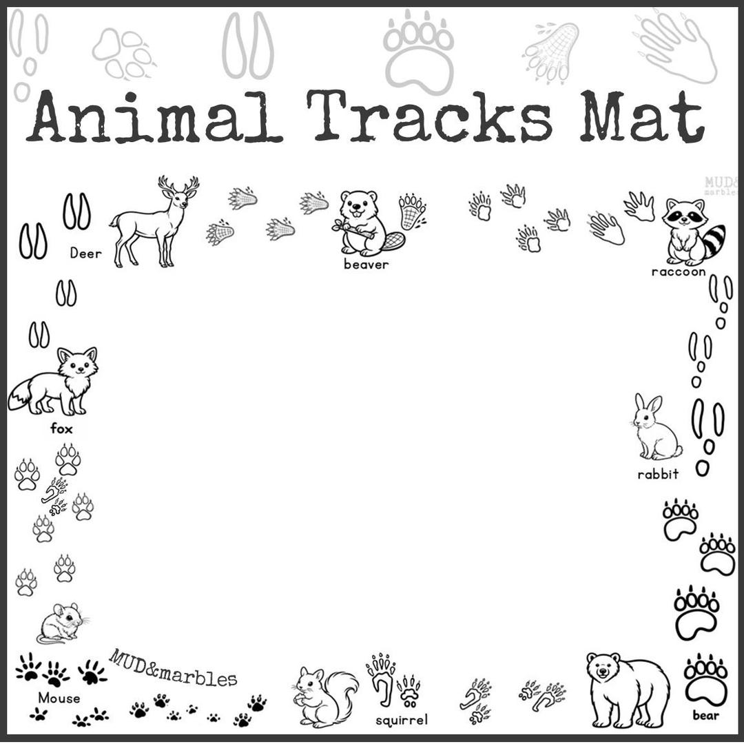Animal Tracks Inquiry Mat for Preschool and Kindergarten | Nature Play ...
