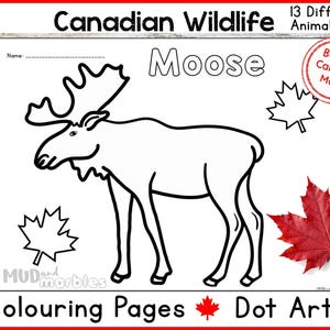 Canadian Wildlife Colouring Pages & Dot Art - Etsy