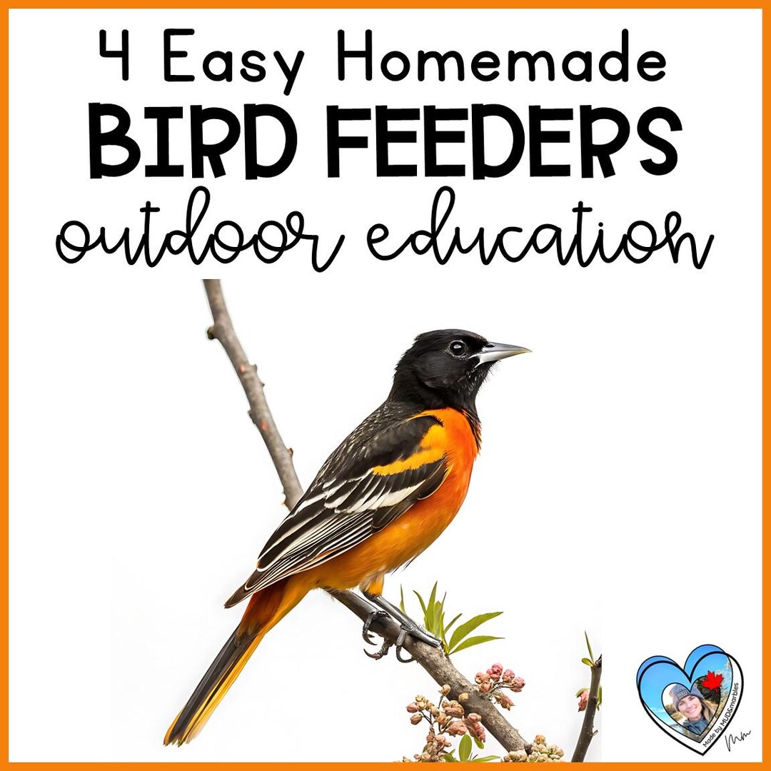 4 Easy Bird Feeders | Play-based Outdoor Education Activity for ...