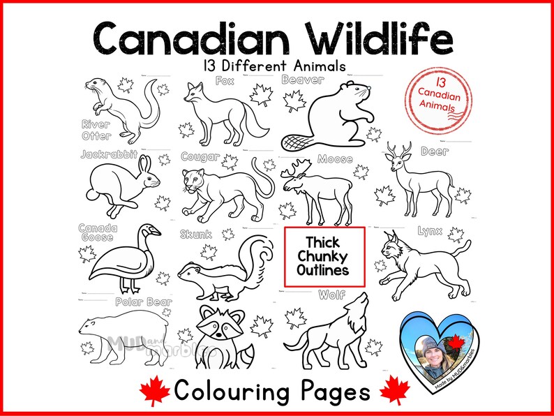 Canadian Wildlife Colouring Pages & Dot Art - Etsy