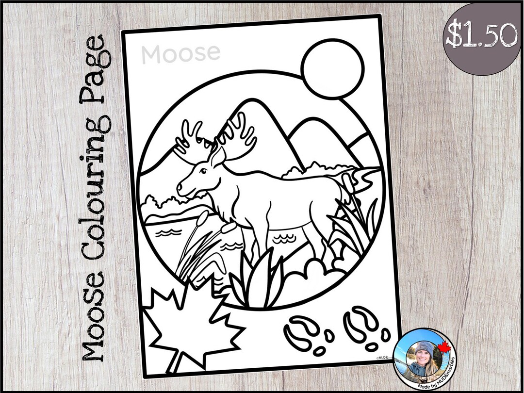 Canadian Moose Colouring Page - Etsy