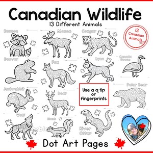 Canadian Wildlife Colouring Pages & Dot Art - Etsy