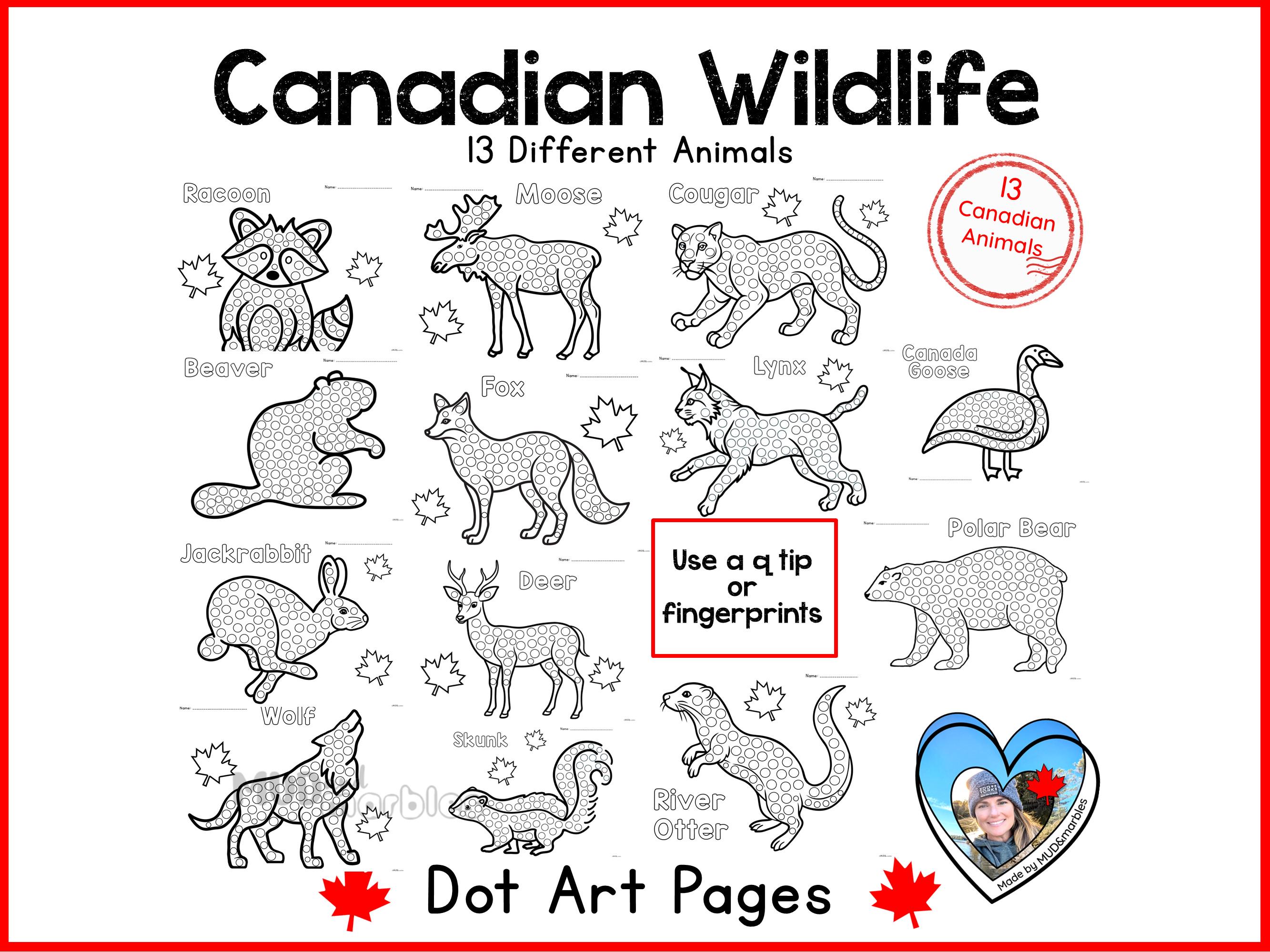 Canadian Wildlife Colouring Pages & Dot Art - Etsy