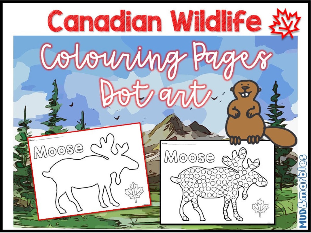 Canadian Wildlife Colouring Pages & Dot Art - Etsy